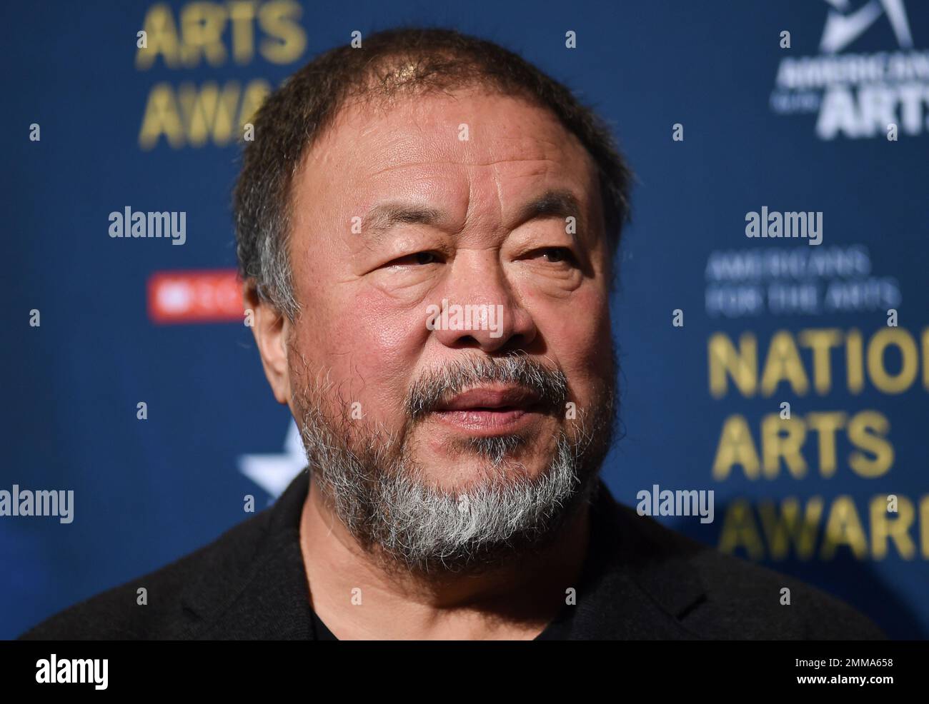 Marina Kellen French outstanding contributions to the arts award ...