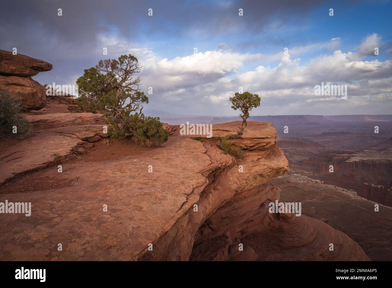 hiking the grand view point trail in the island in the sky in ...
