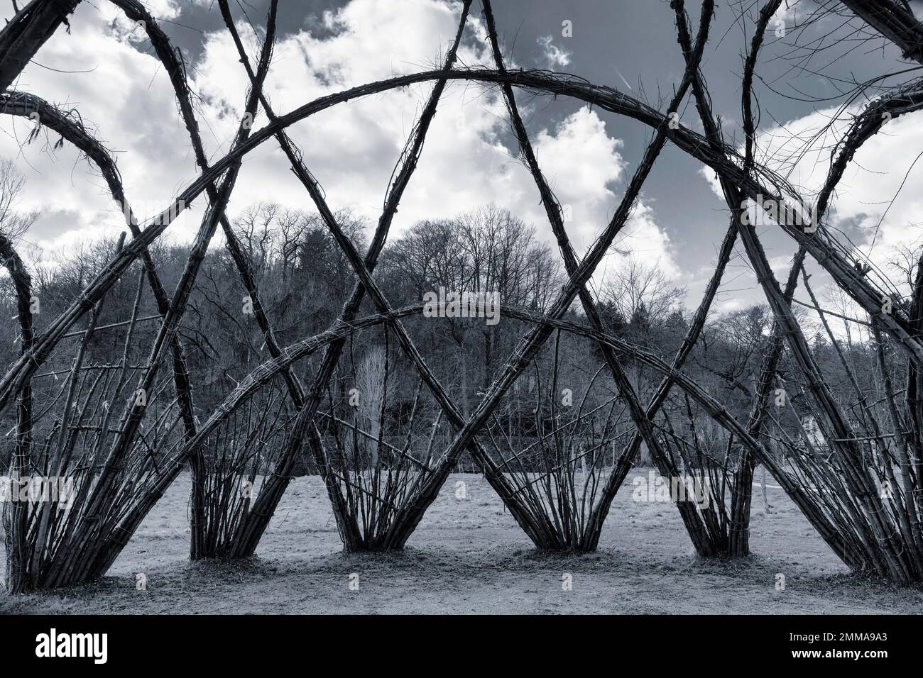 Willow Palace in the Nethe Valley, roof, view through structure made of ...