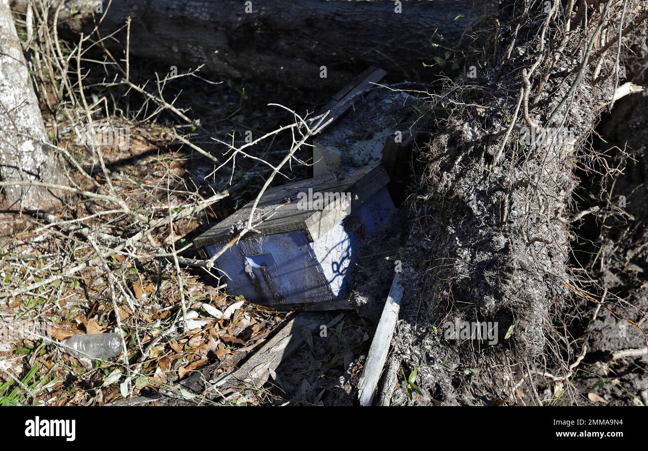 In this Friday Oct. 12, 2018 photo, beehives are damaged after a tree ...