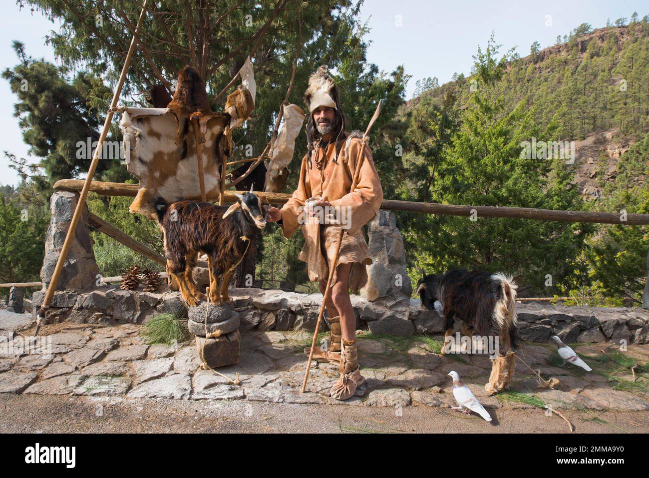 Traditional goat breed hi-res stock photography and images - Alamy