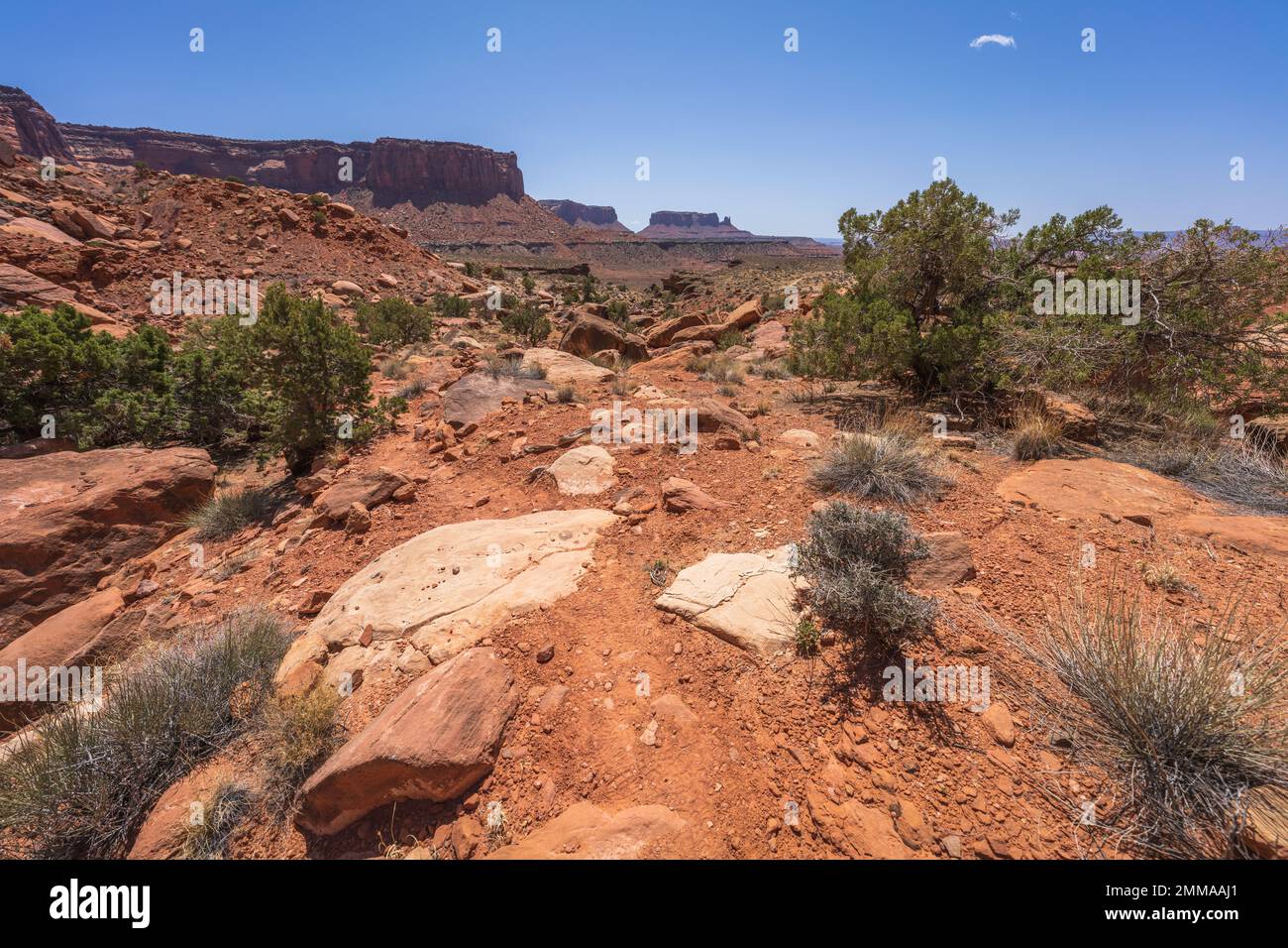 hiking the murphy trail loop in the island in the sky in canyonlands ...