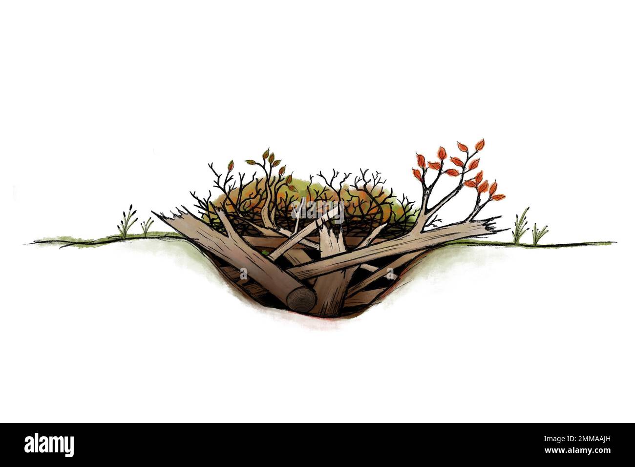 Realistic illustration of a cross-section of deadwood piles ...