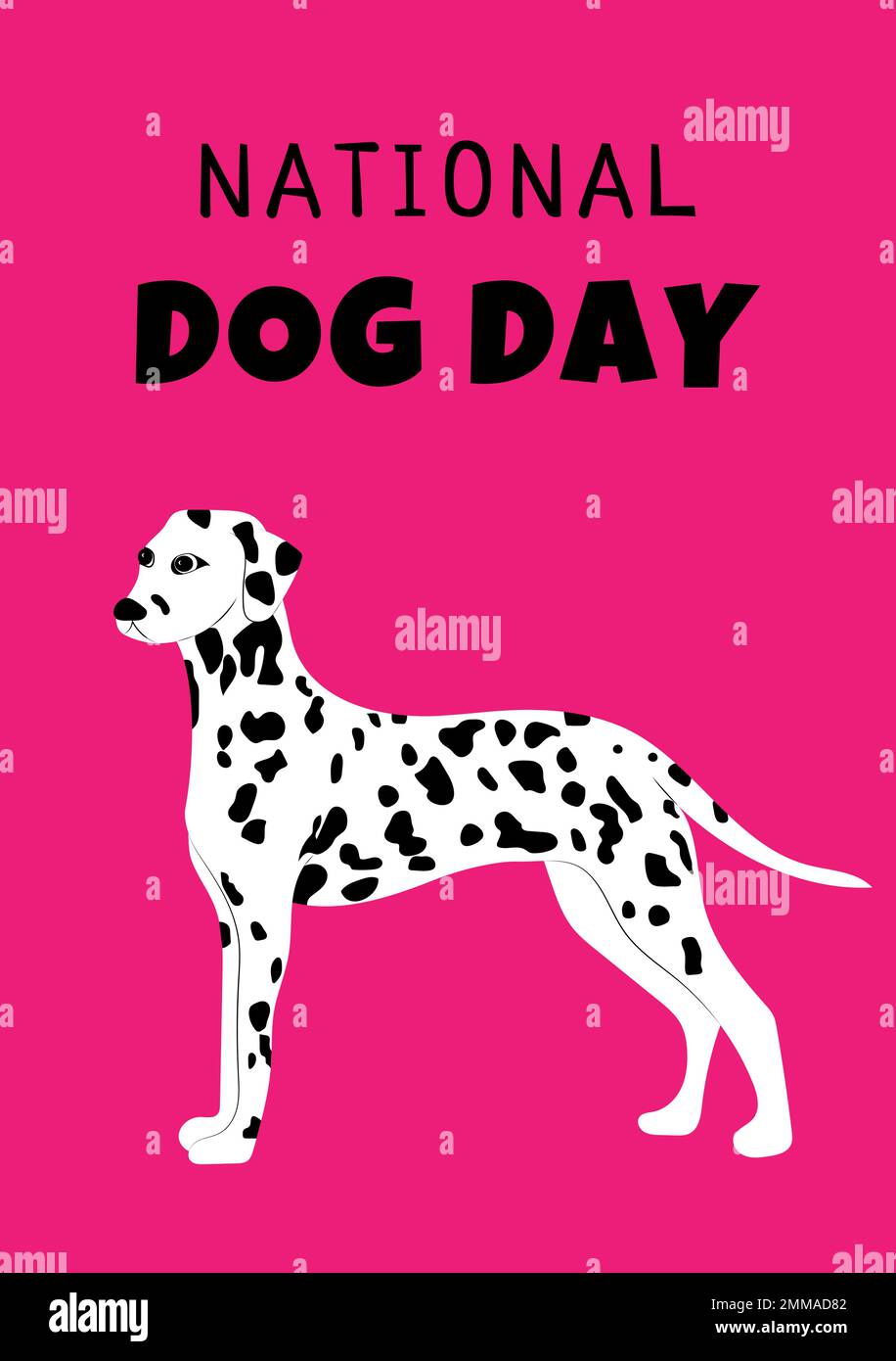 Happy national Dog day greeting card vector design. Dalmatin dog on ...