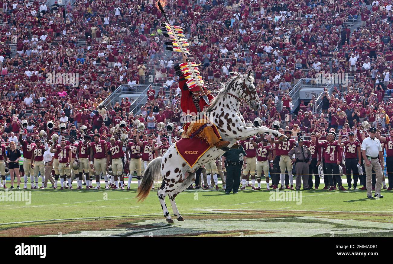 Fsu Football Mascot