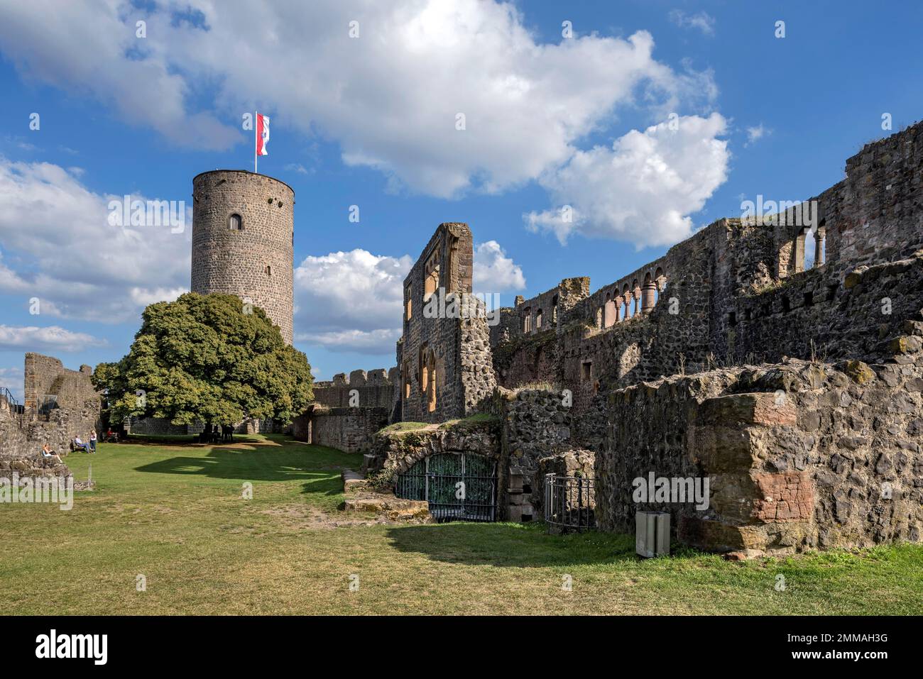 Castle tower eastern keep old lime tree, Romanesque Muenzenberg palace ...