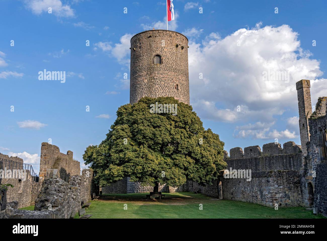 Castle tower eastern keep, old lime tree, castle courtyard, castle ...