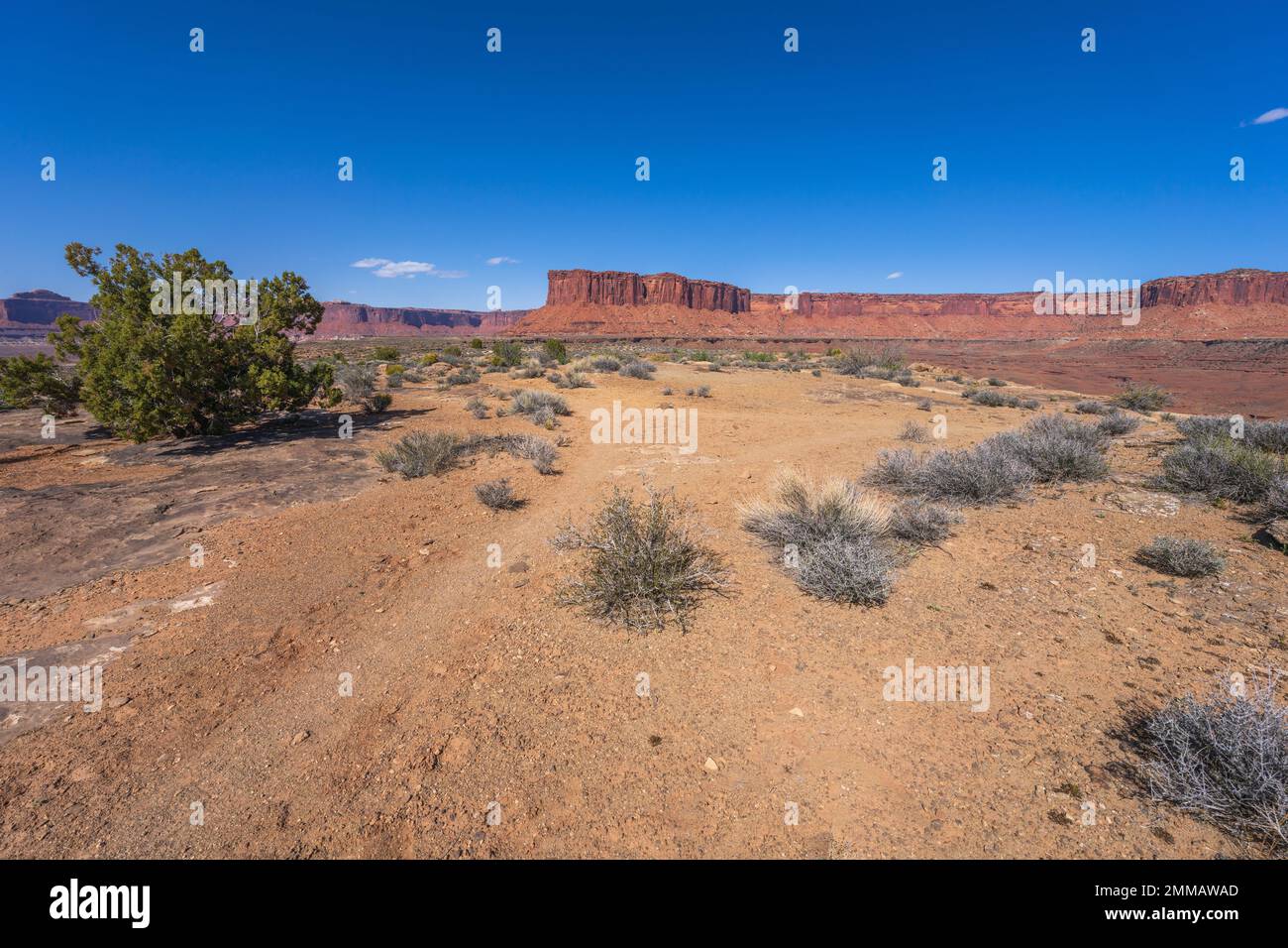 hiking the murphy trail loop in the island in the sky in canyonlands ...