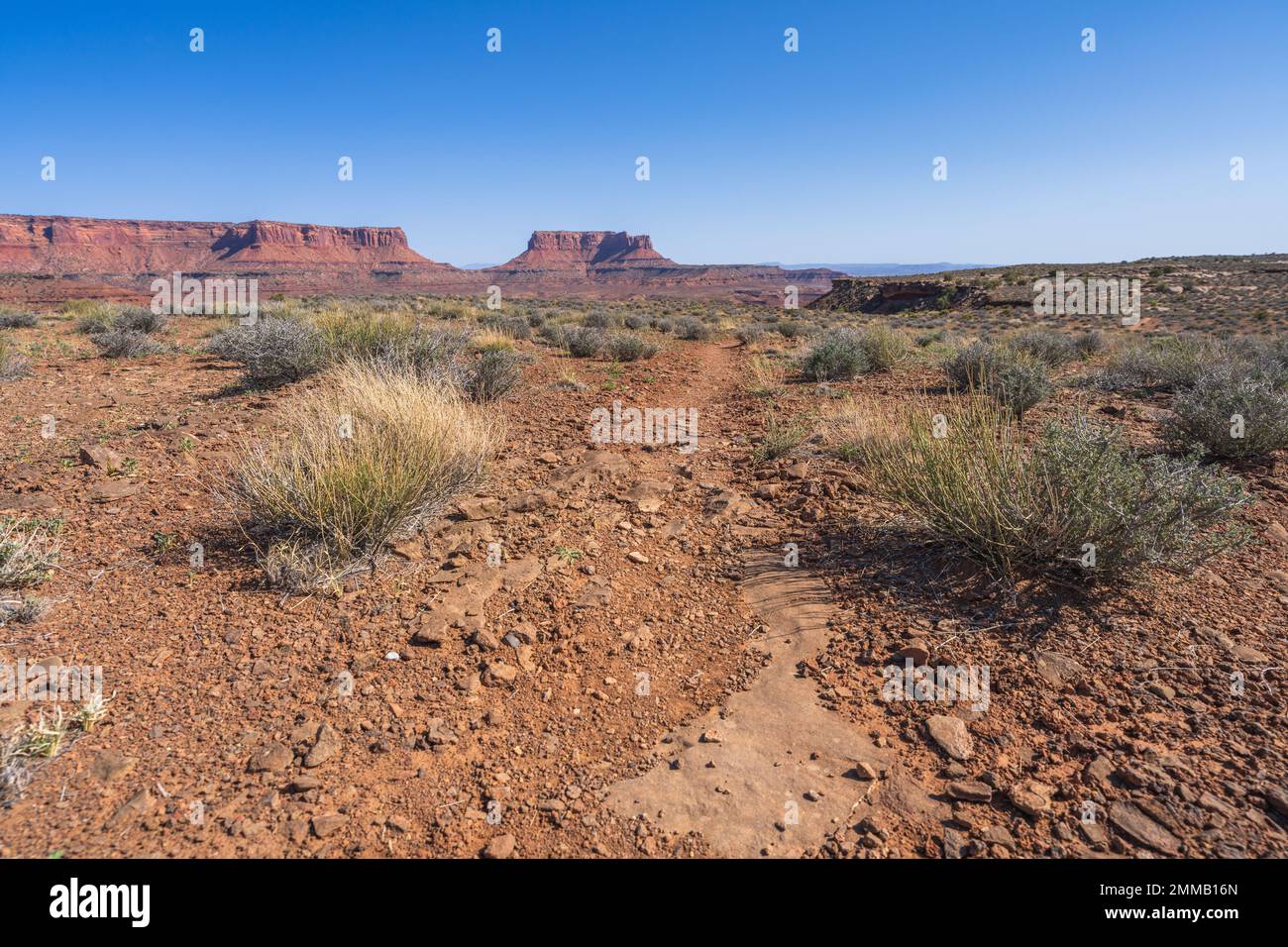 hiking the murphy trail loop in the island in the sky in canyonlands ...