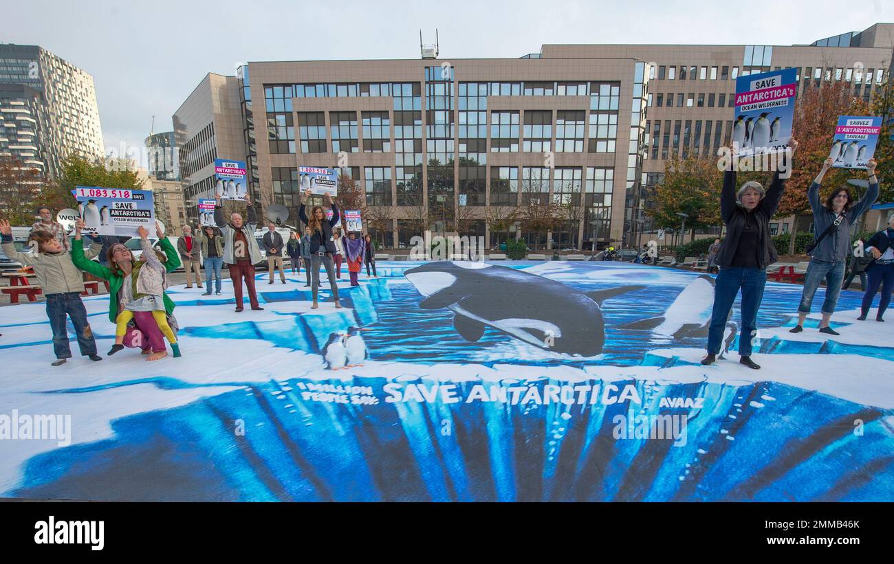 IMAGE DISTRIBUTED FOR AVAAZ - Demonstrators gather during the handover ...