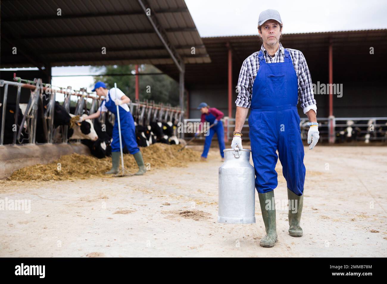 Adult male farmer with can works on dairy farm Stock Photo - Alamy