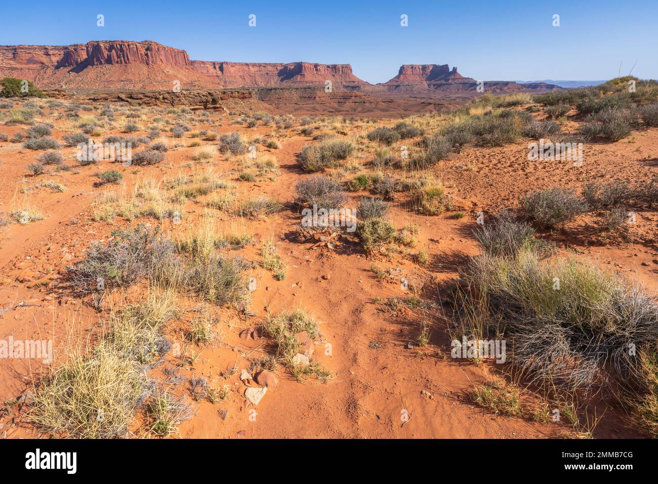 hiking the murphy trail loop in the island in the sky in canyonlands ...