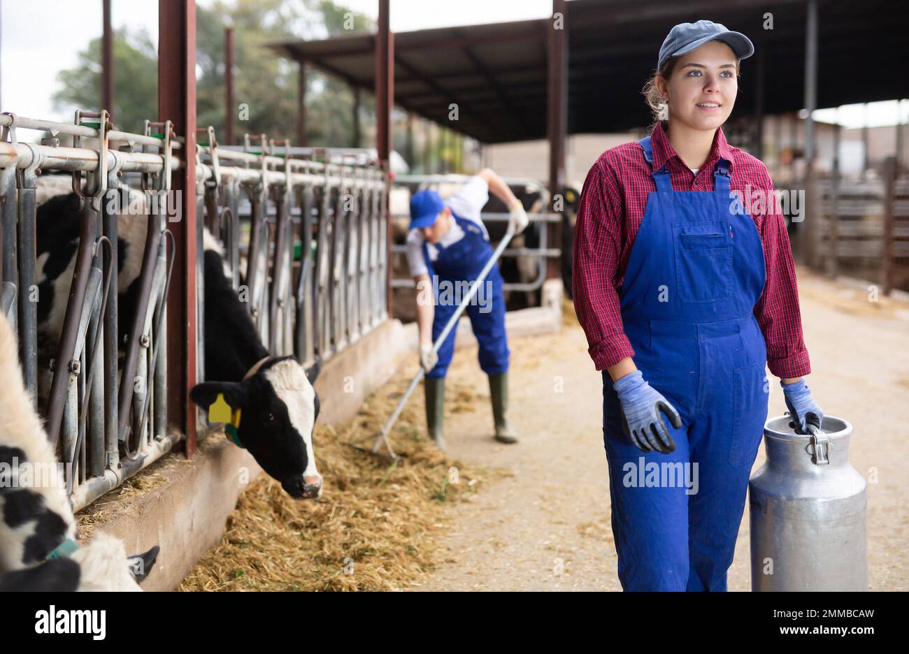Portraif of caucasian woman dairy farm worker carrying metal milk can ...