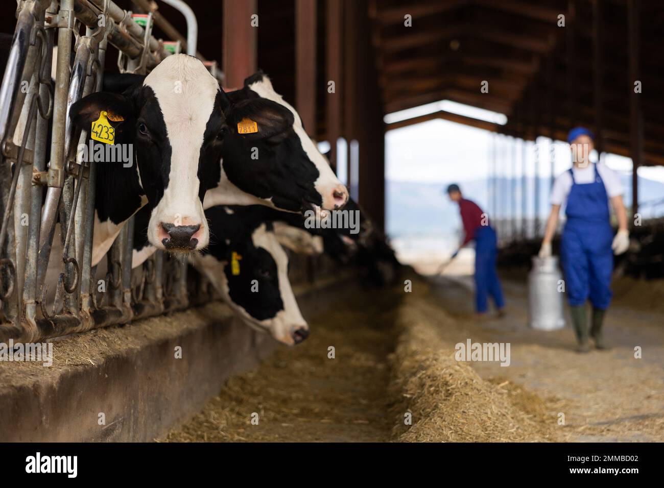 Caring farmers hi-res stock photography and images - Alamy