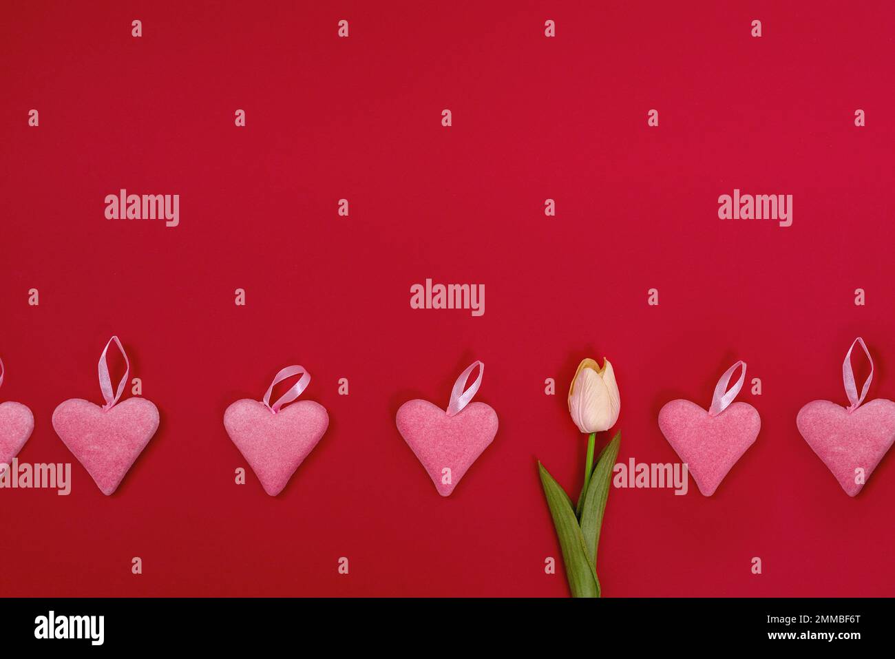 One tulip among pink hearts on red background. Concept of greetings for ...