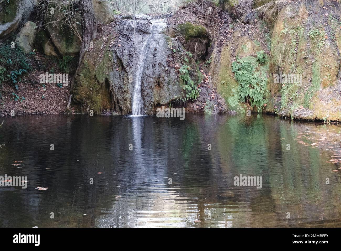 Beautiful landscape river pond in hi-res stock photography and images ...
