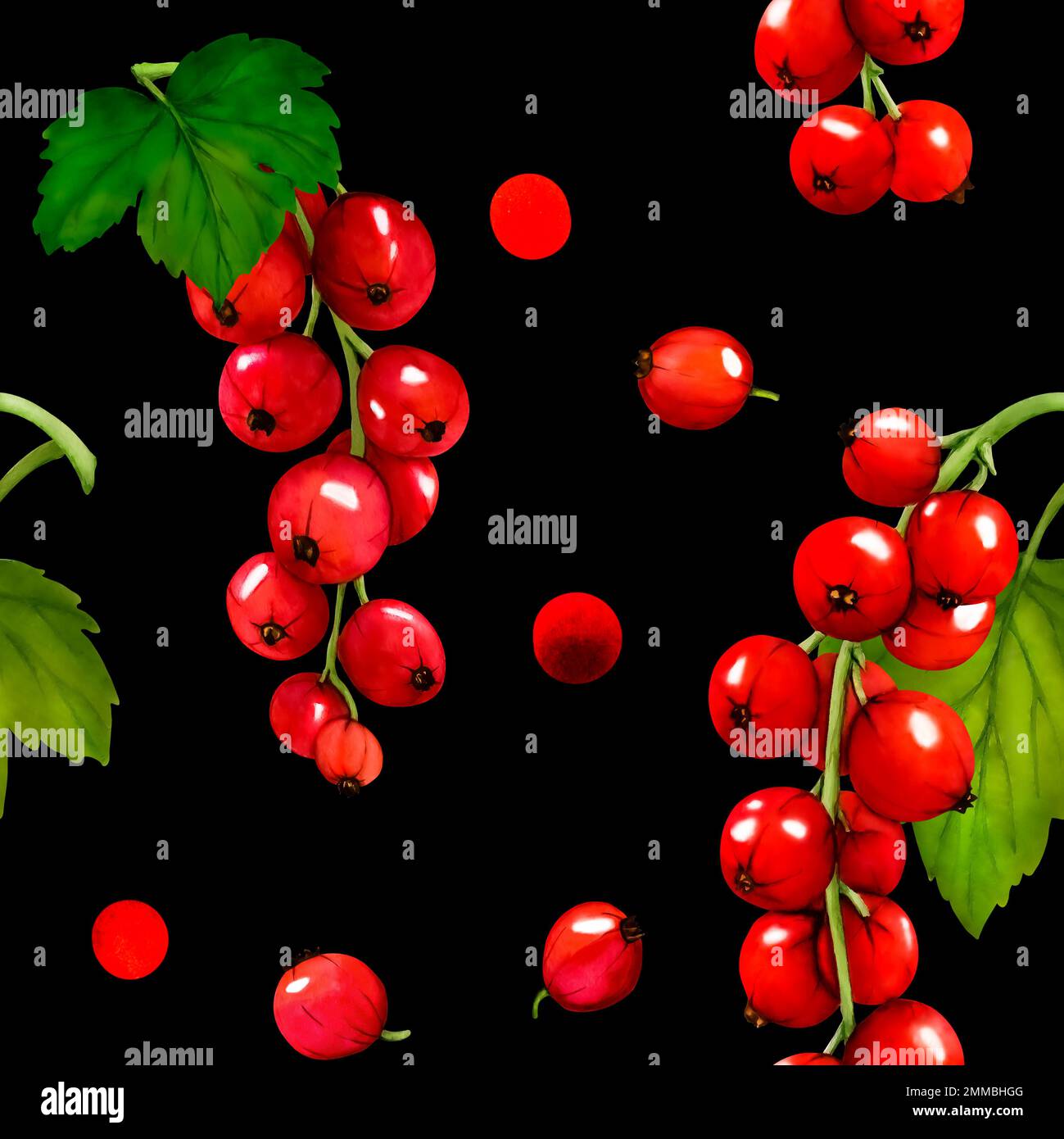 Pattern. Watercolor red currant berries isolated on black background ...