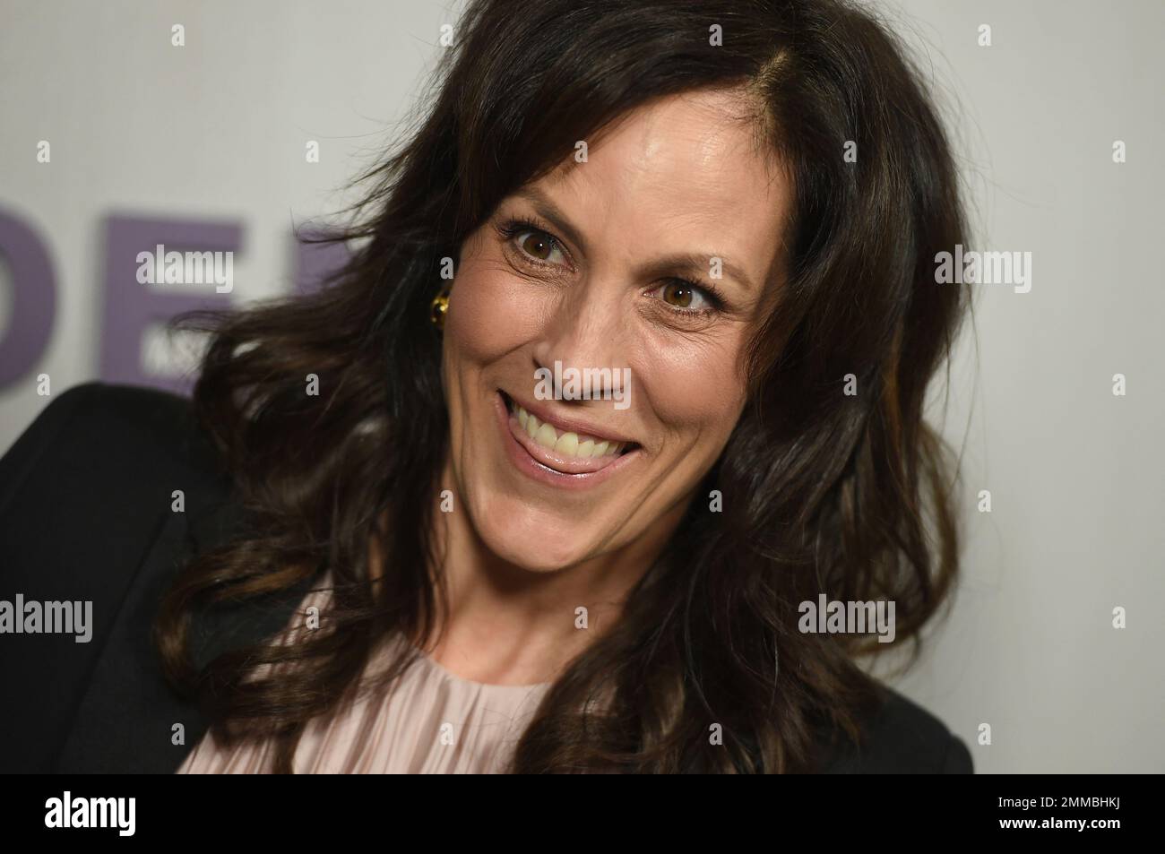 Annabeth Gish arrives at the 16th Annual Hammer Museum Gala in the ...