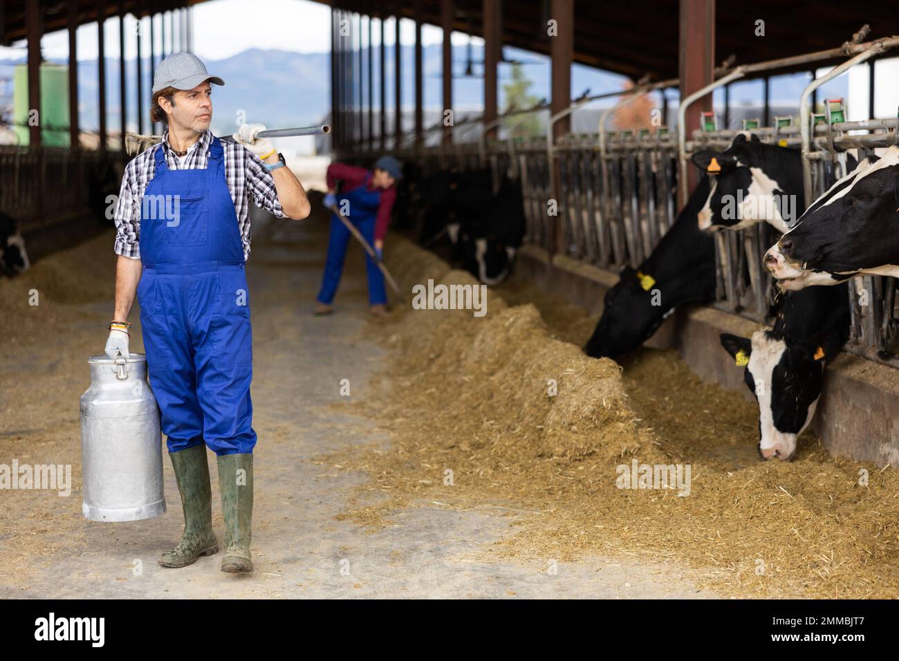 Adult male farmer with can works on dairy farm Stock Photo - Alamy