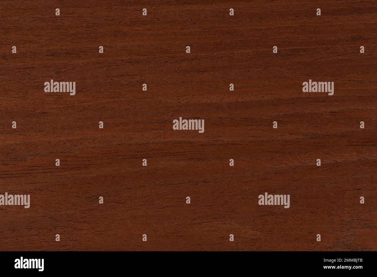 Texture of mahogany. Mahogany veneer texture for furniture production ...