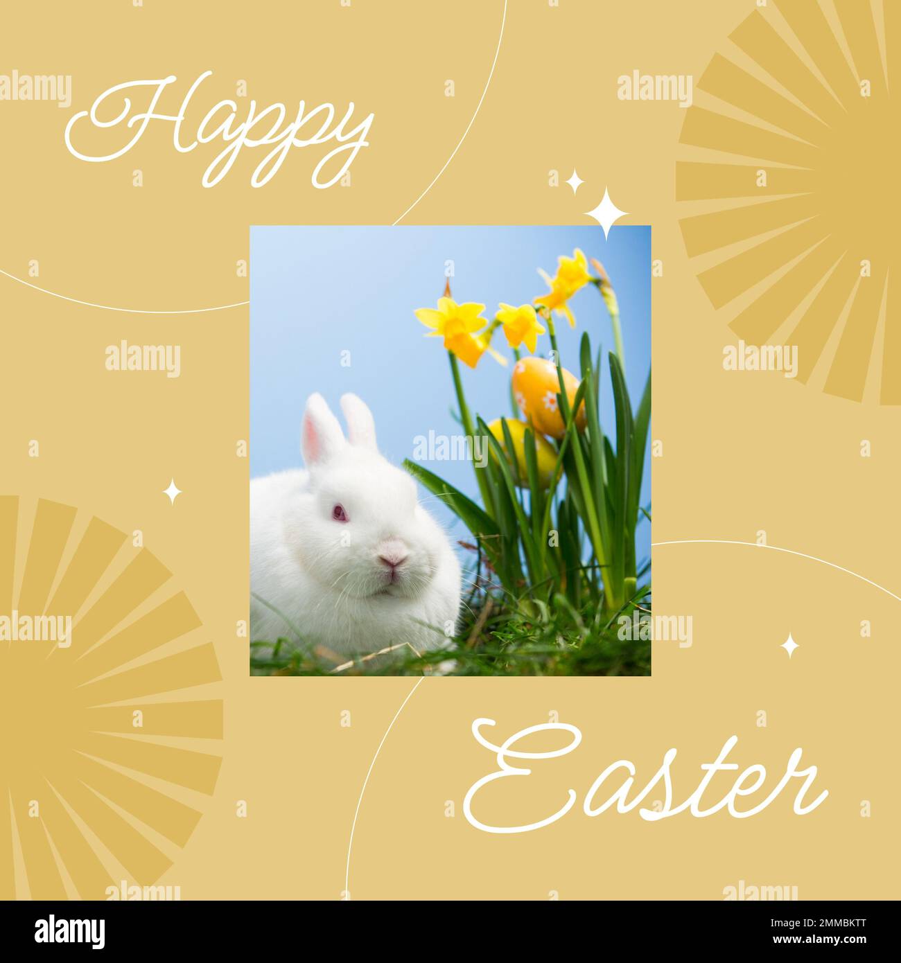 Happy Real Bunny
