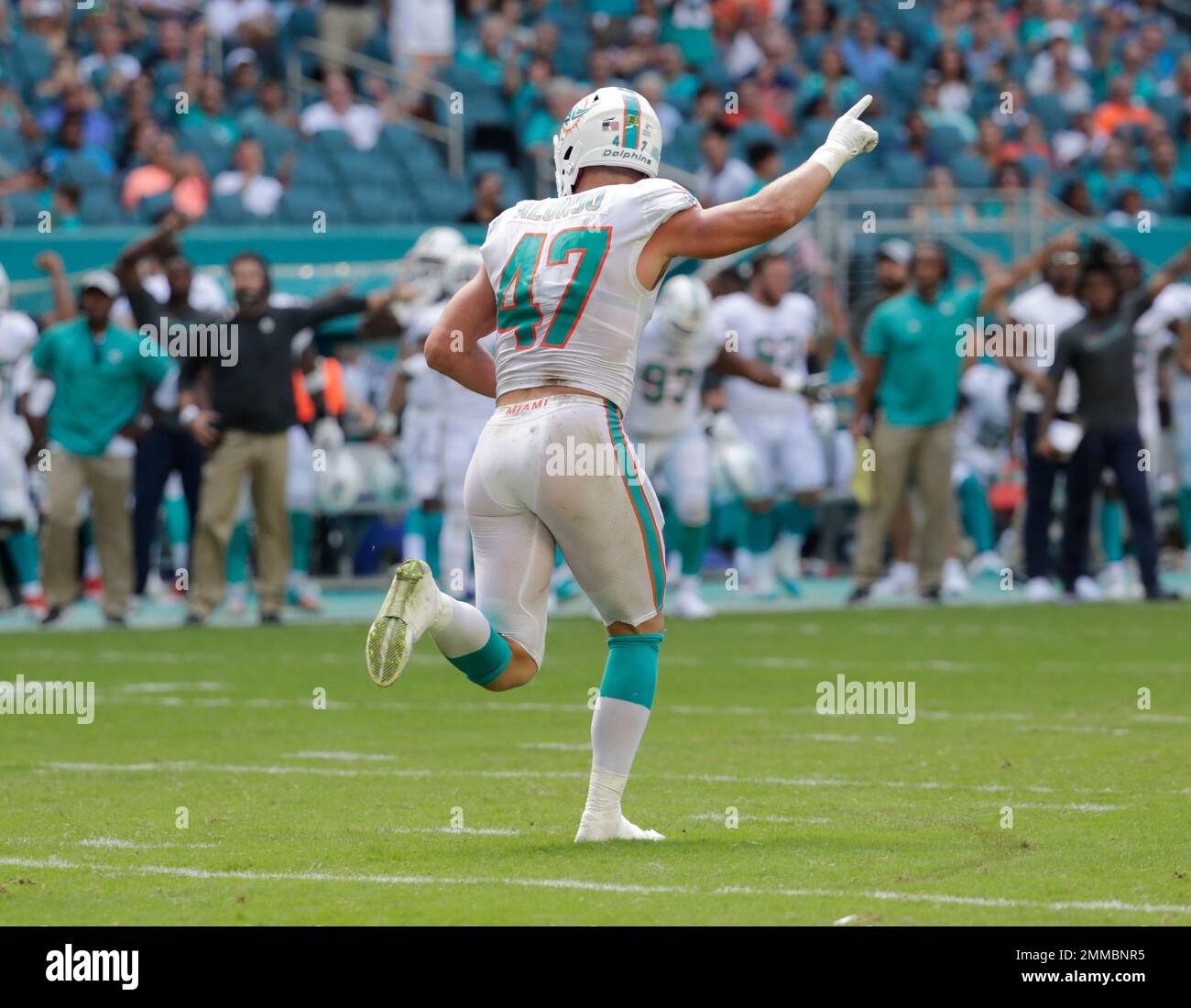 Miami Dolphins linebacker Kiko Alonso (47) celebrates after recovering ...
