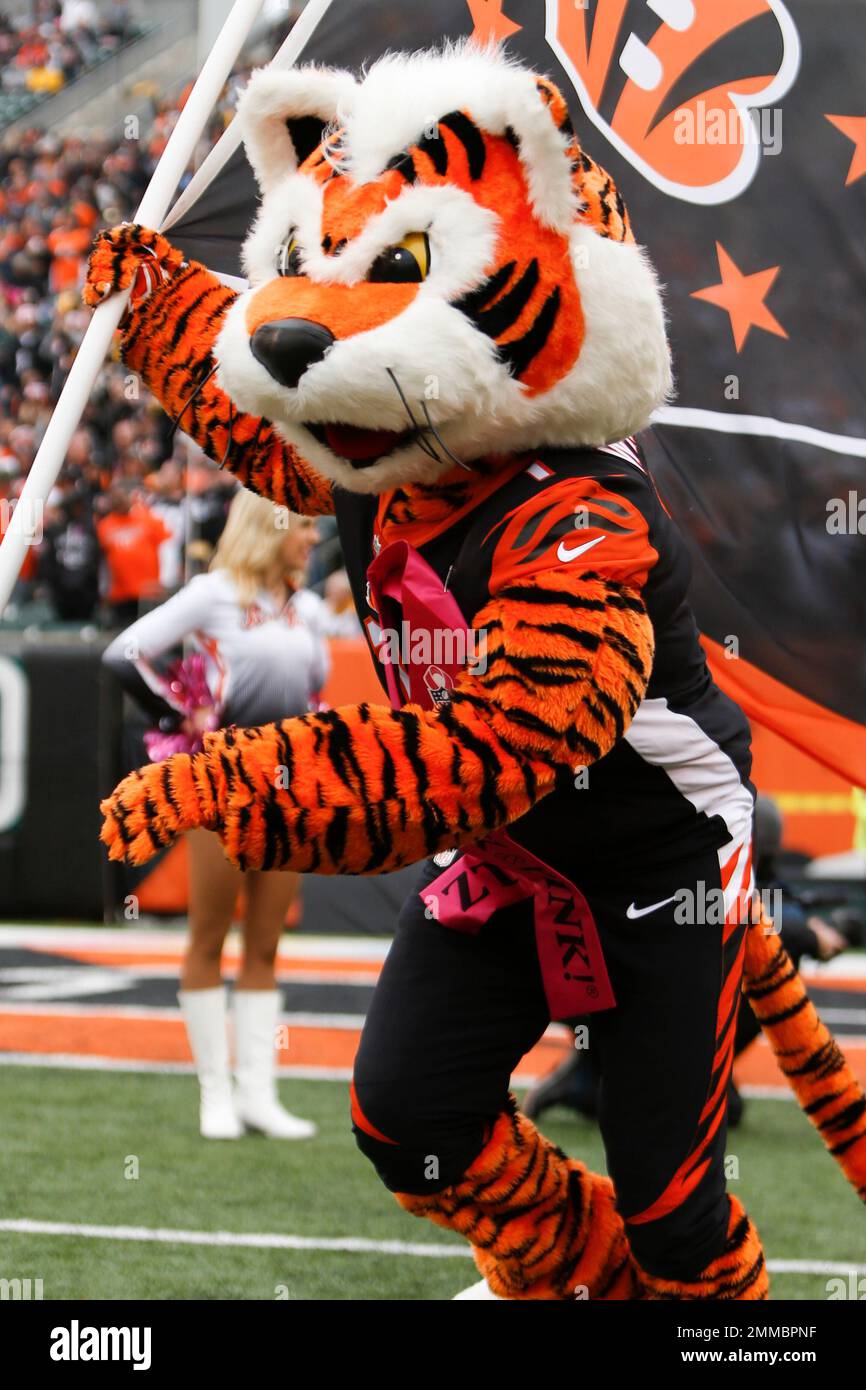Bengals Mascot