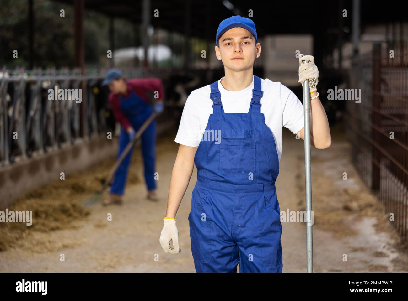 Farmer man stands with rake at cow farm Stock Photo - Alamy