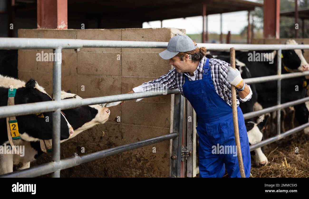 Lithuanian dairy farm hi-res stock photography and images - Alamy