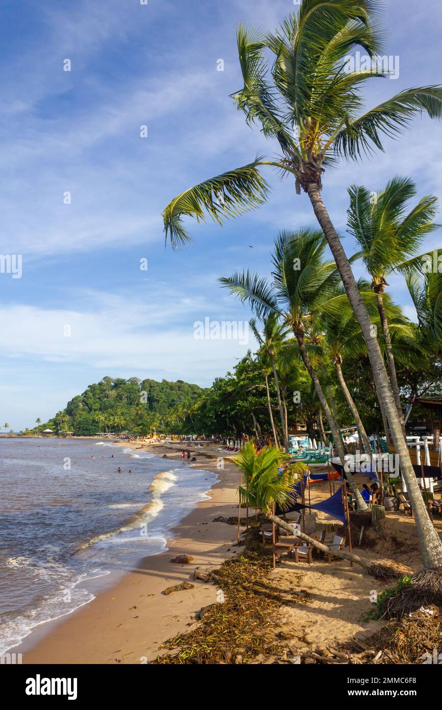 Praia da concha hi-res stock photography and images - Alamy