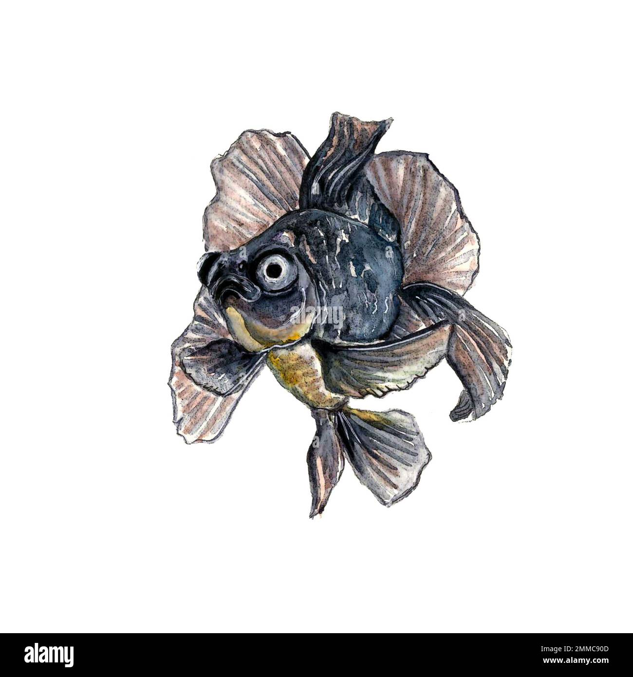 Black Goldfish Drawing