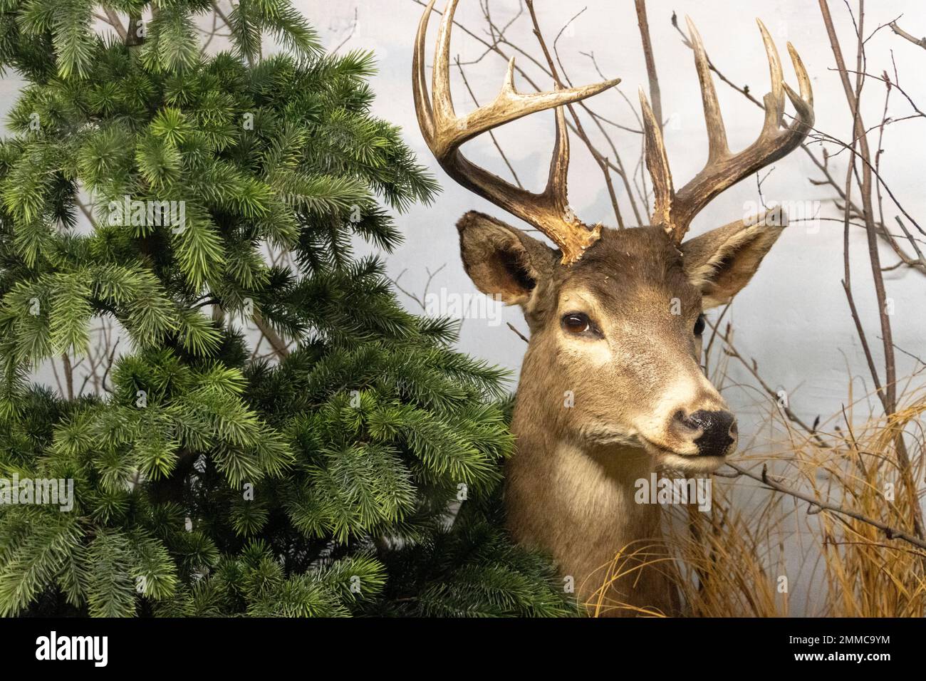 Fake deer hi-res stock photography and images - Alamy