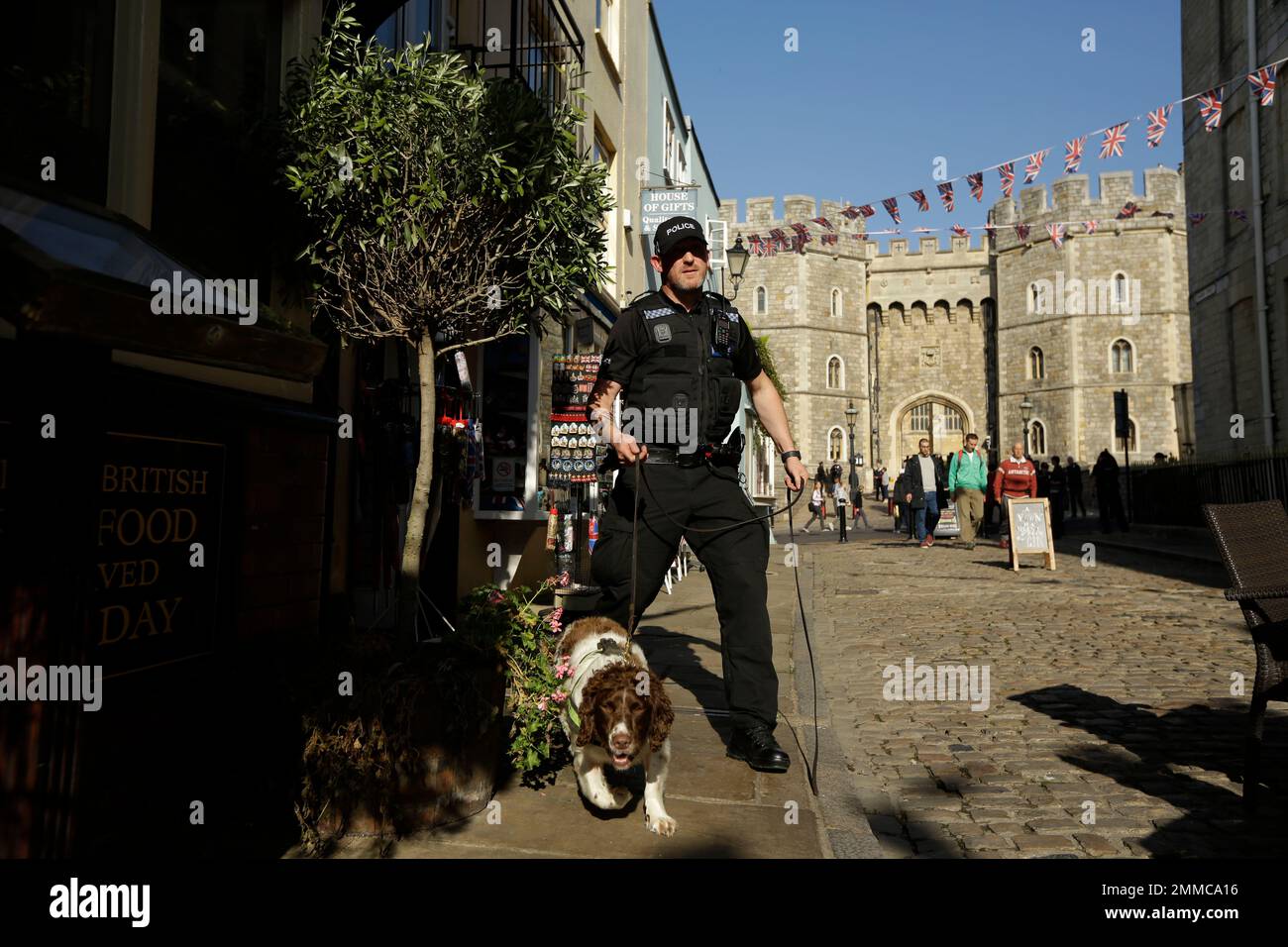 A police search dog and handler patrol outside Windsor Castle ahead of ...