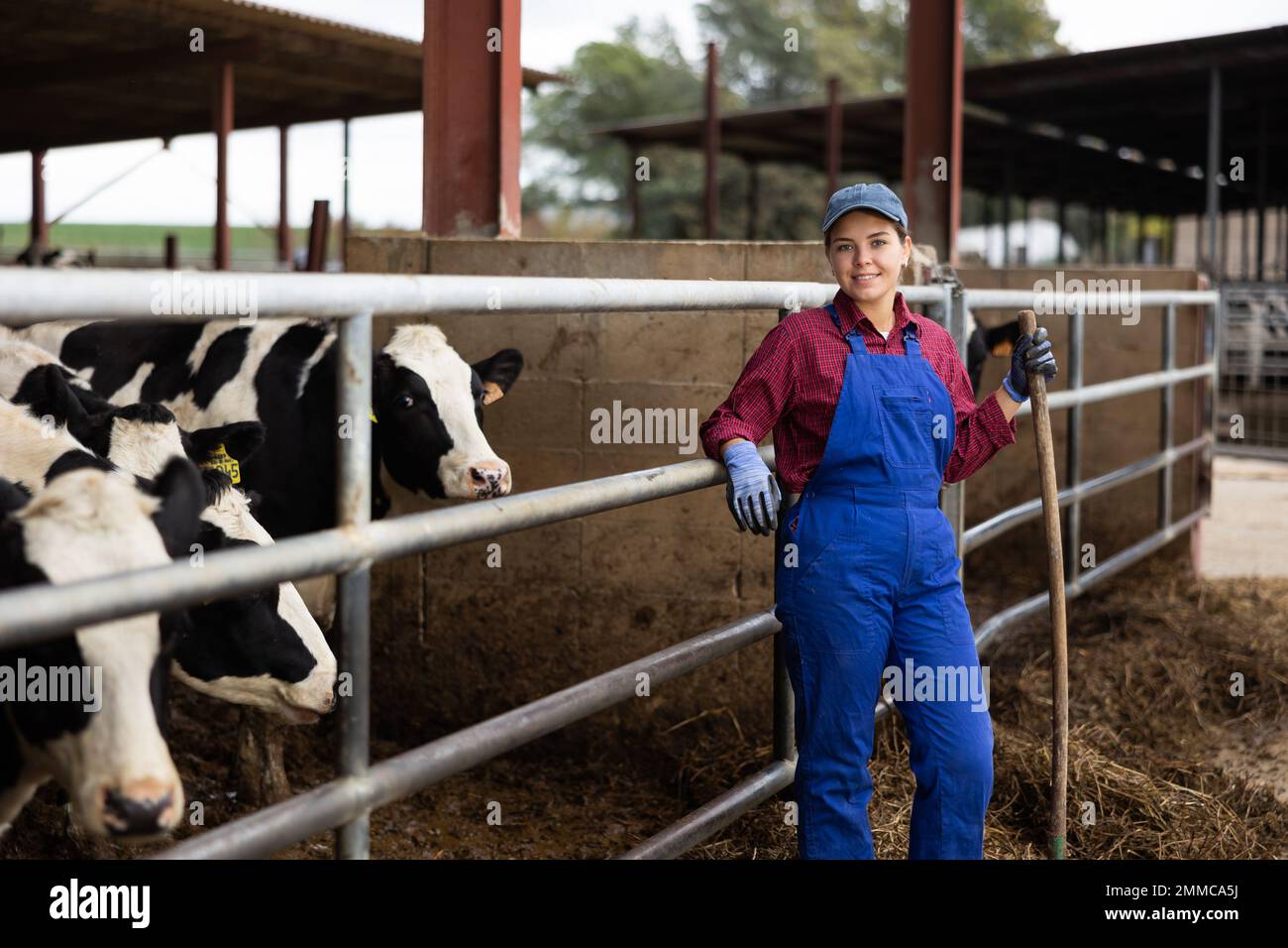 Skilled positive young female farm worker standing with rake while ...
