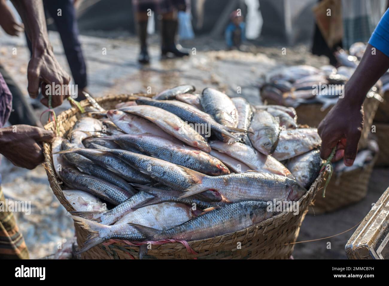Chittagong, Chattogram, Bangladesh. 20th Jan, 2023. The second-largest ...