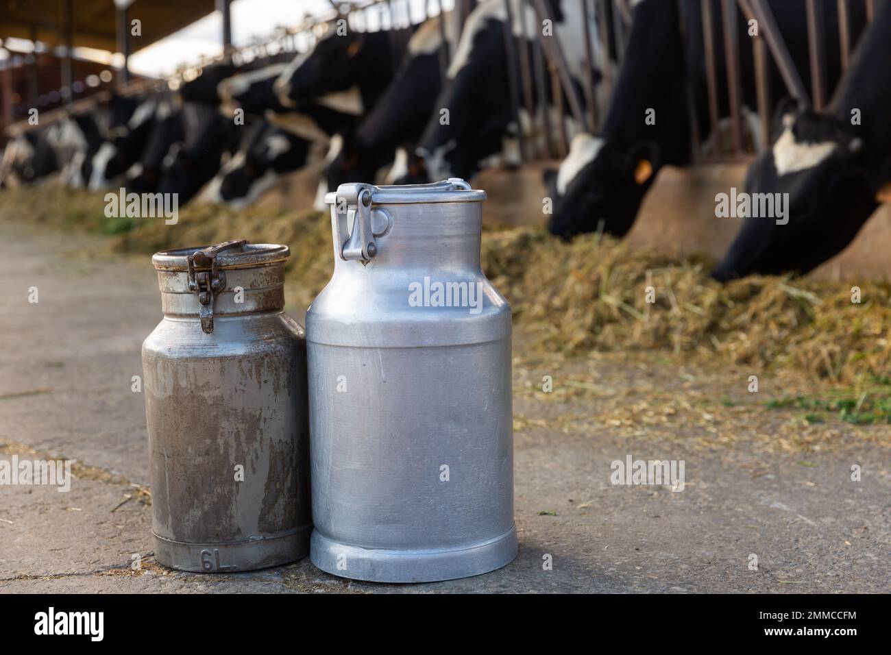 Image of two milk canisters standing on a farm Stock Photo - Alamy