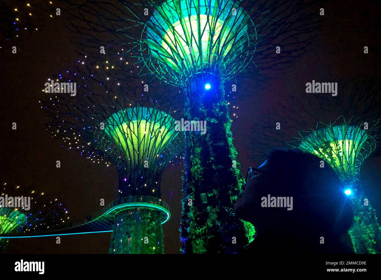 People watch as the Supertree structures light up at the Gardens by the ...