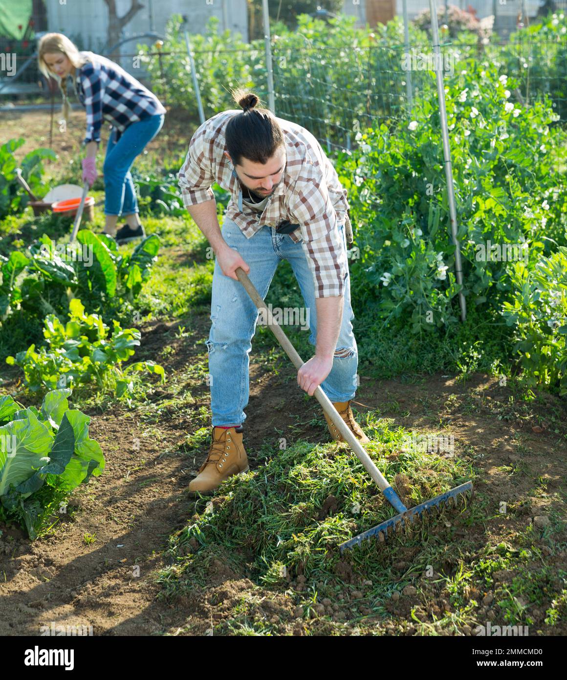 Couple working in garden Stock Photo - Alamy