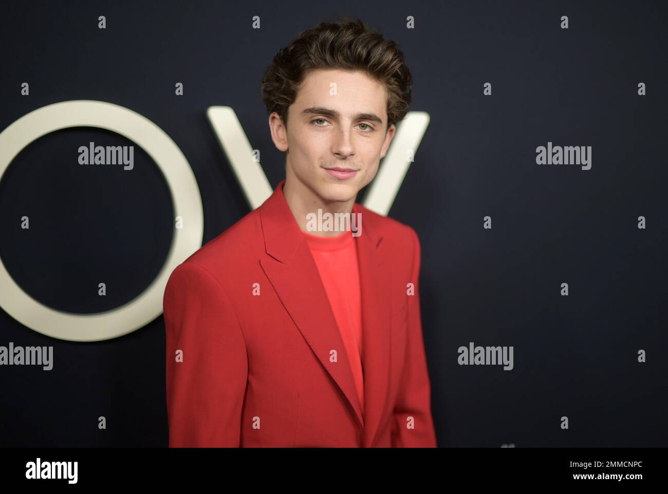 Timothee Chalamet arrives at the premiere of "Beautiful Boy" on Monday, Oct. 8, 2018, at the ...