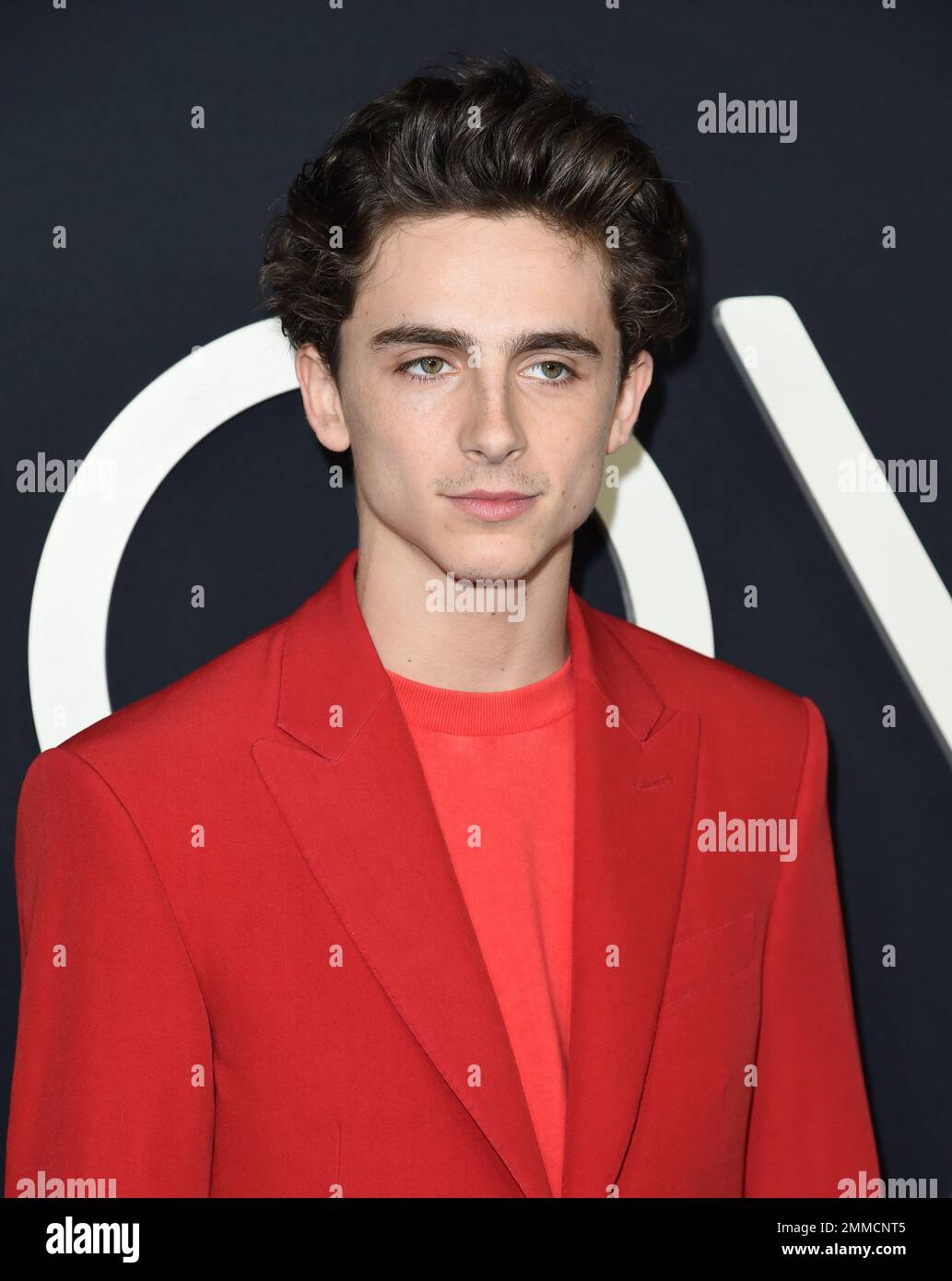 Timothee Chalamet arrives at the premiere of "Beautiful Boy" on Monday, Oct. 8, 2018, at the ...