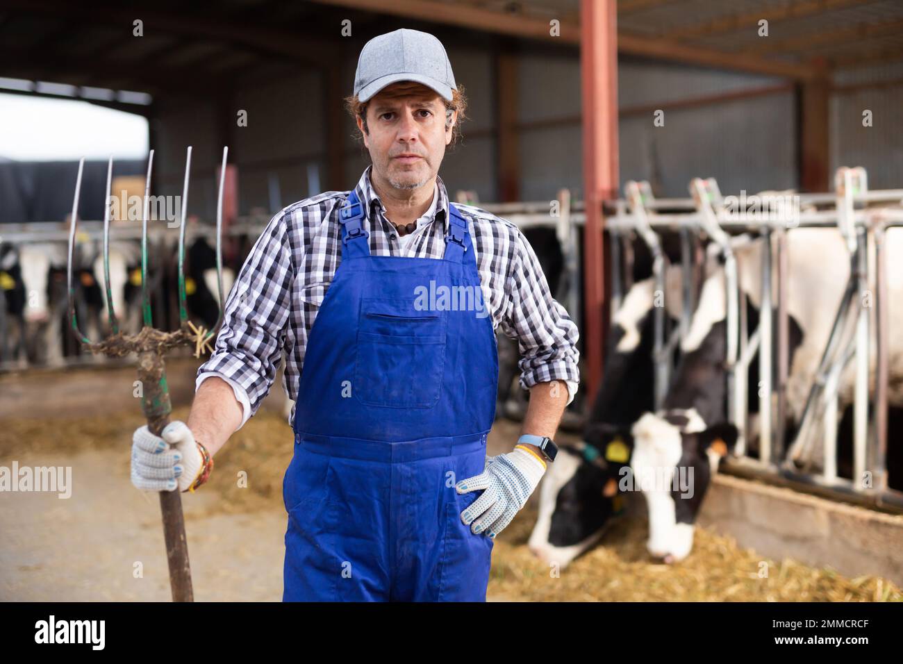 Lithuanian dairy farm hi-res stock photography and images - Alamy