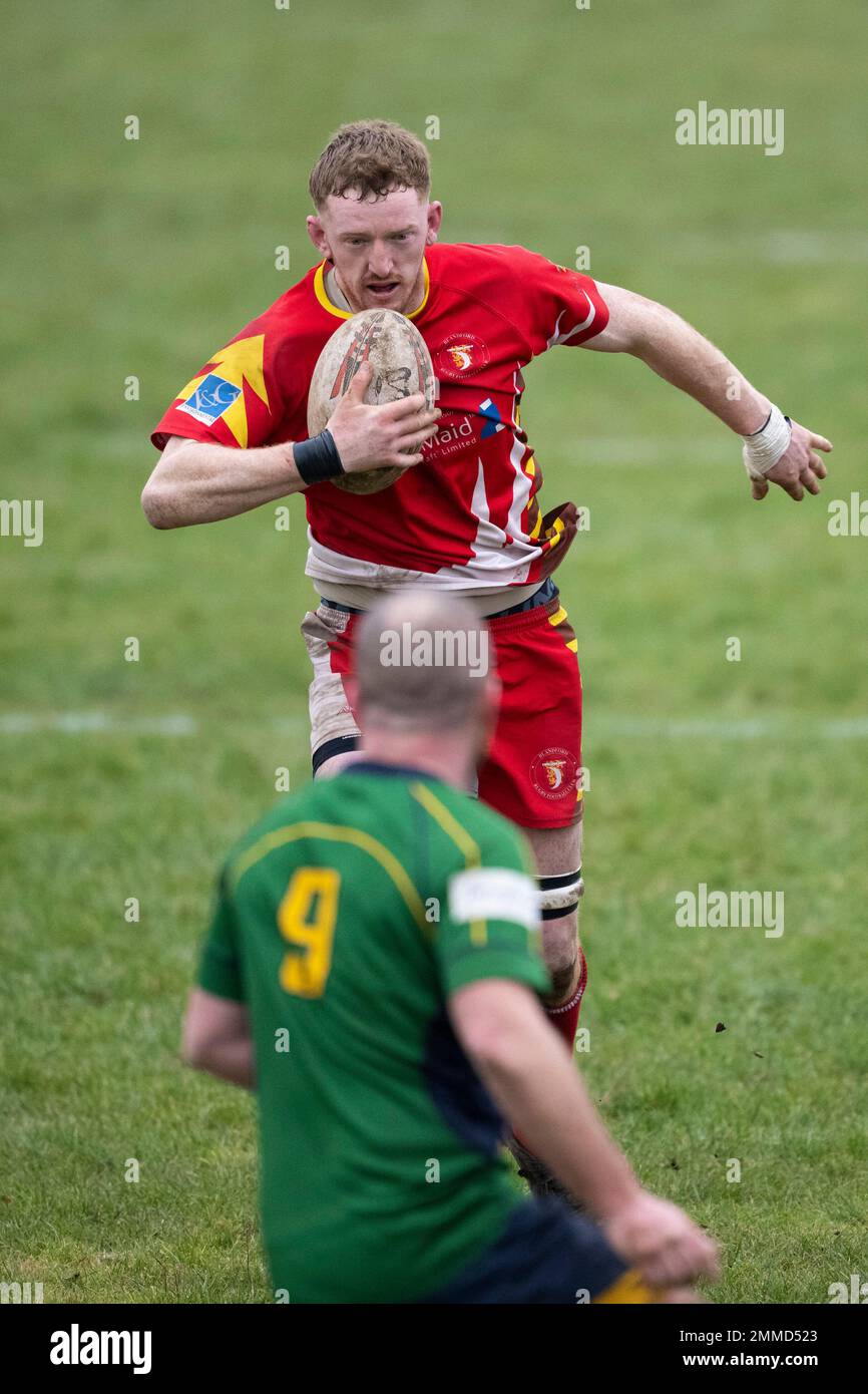 Rugby player running with ball Stock Photo - Alamy