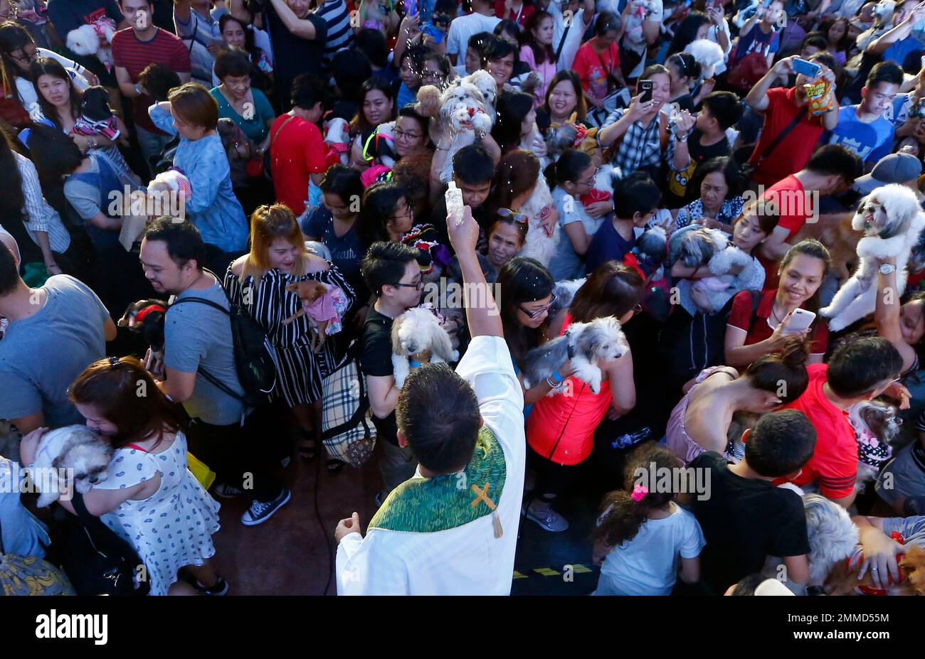 Pets, some dressed in their gala costumes, are blessed with holy water ...