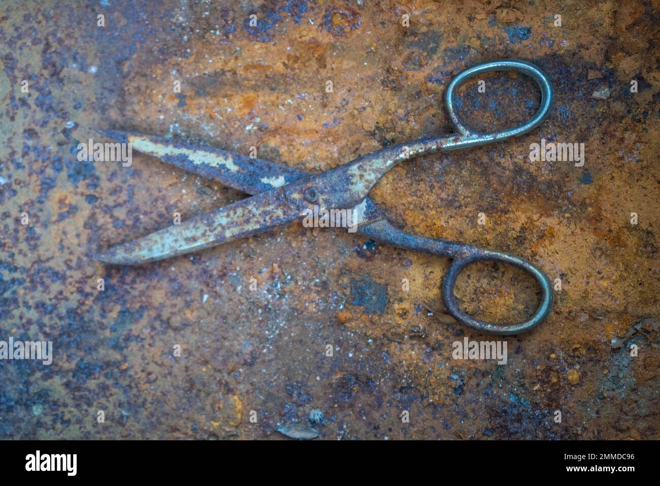 Old rusty scissors Stock Photo - Alamy