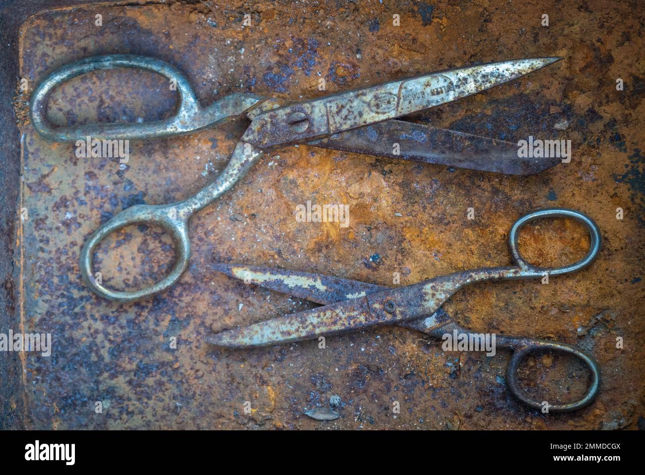 Old rusty scissors Stock Photo - Alamy