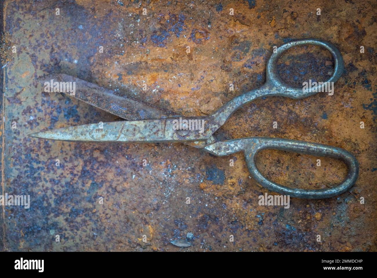 Old rusty scissors Stock Photo - Alamy