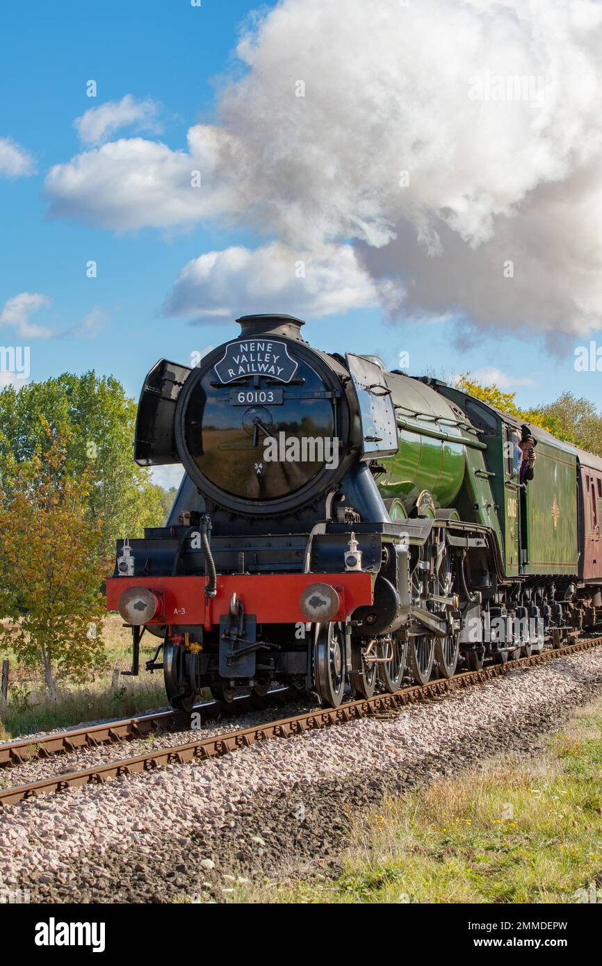 60103 Flying Scotsman at work on the Nene Valley Railway Stock Photo ...