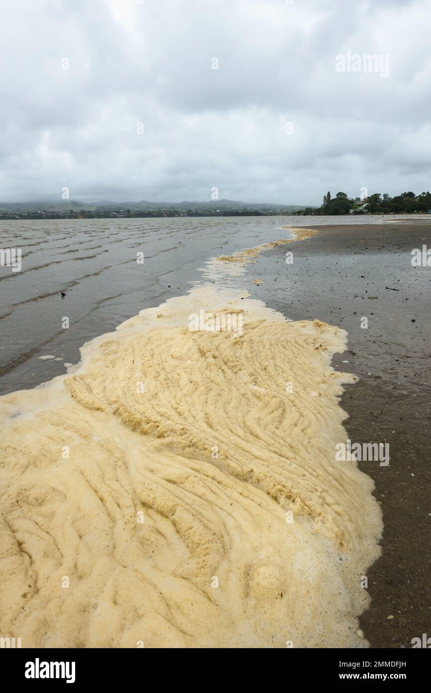 Drainage sludge washed onto beaches after storm, Tauranga New Zealand ...