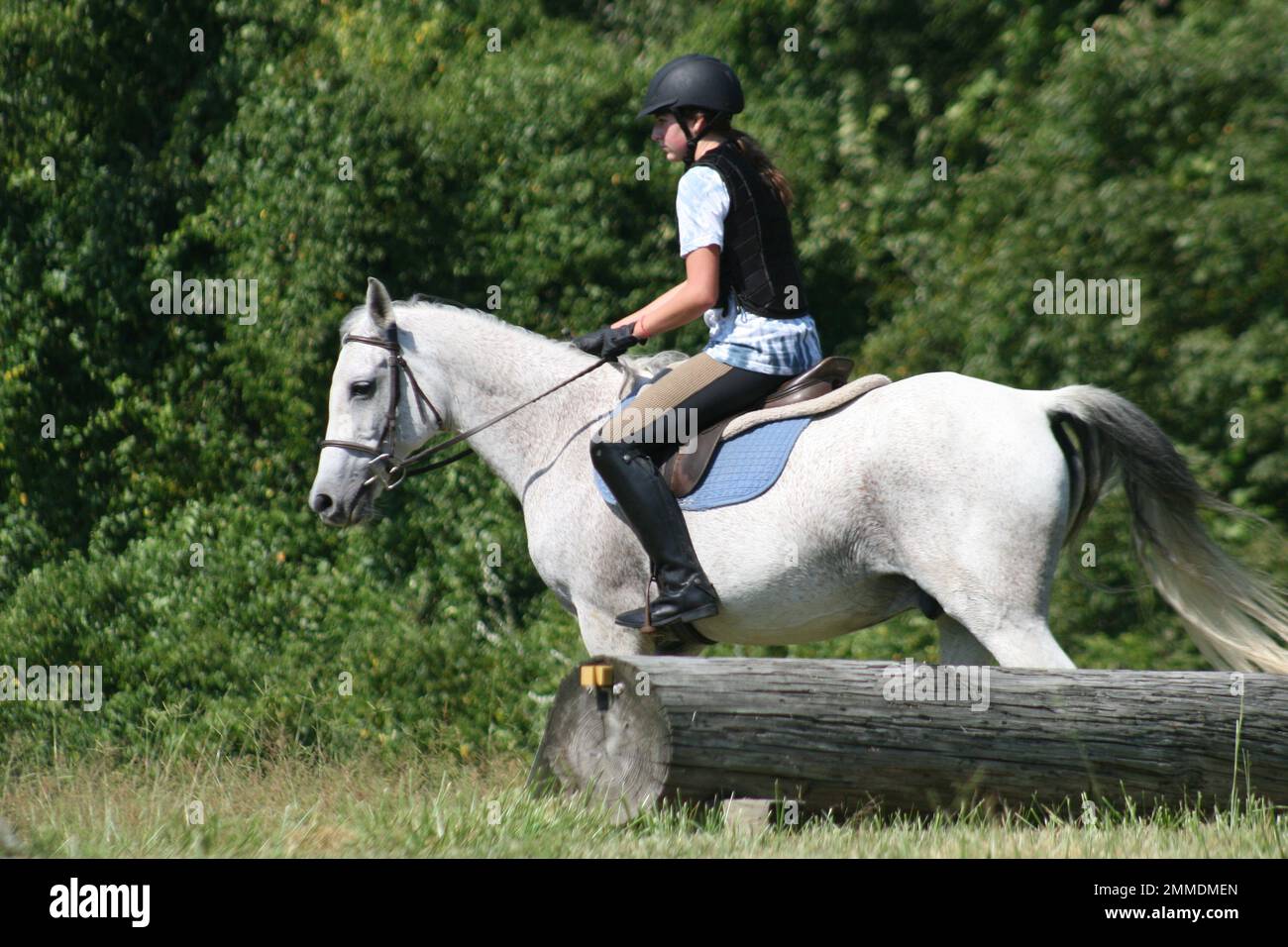 Queeny park missouri hi-res stock photography and images - Alamy