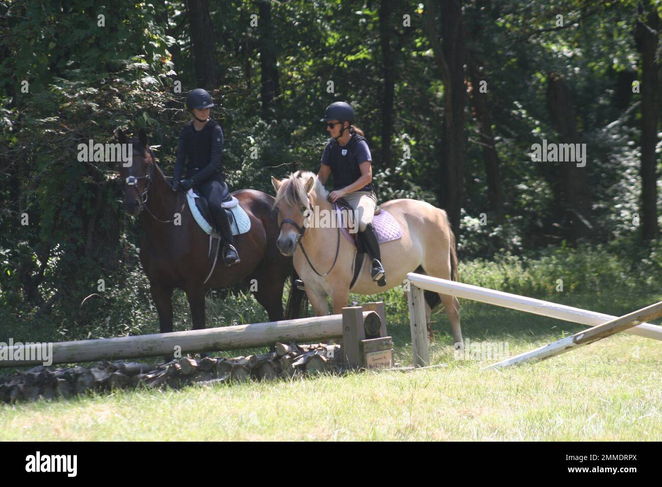 Queeny park equestrian 2022 hi-res stock photography and images - Alamy